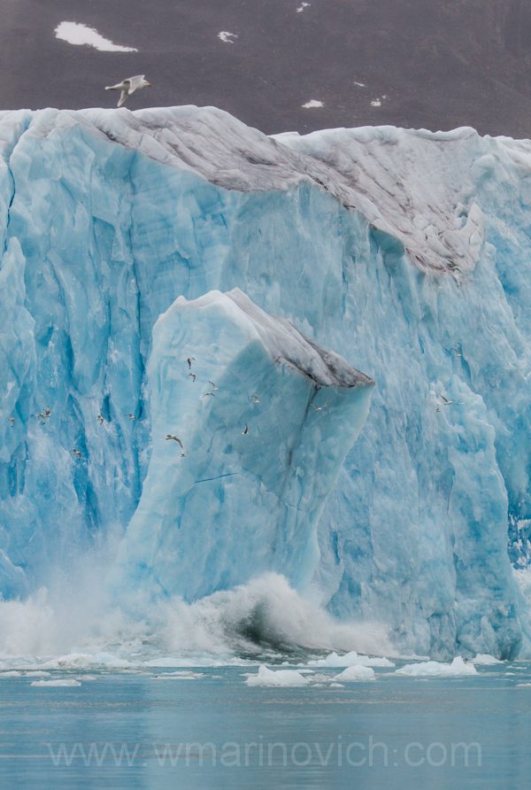 My favourite Wildlife and Landscape photographs of 2012. - Wayne ...